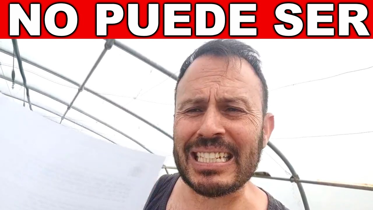 NO PUEDES SER que sigamos soportando TODO ESTO - YouTube