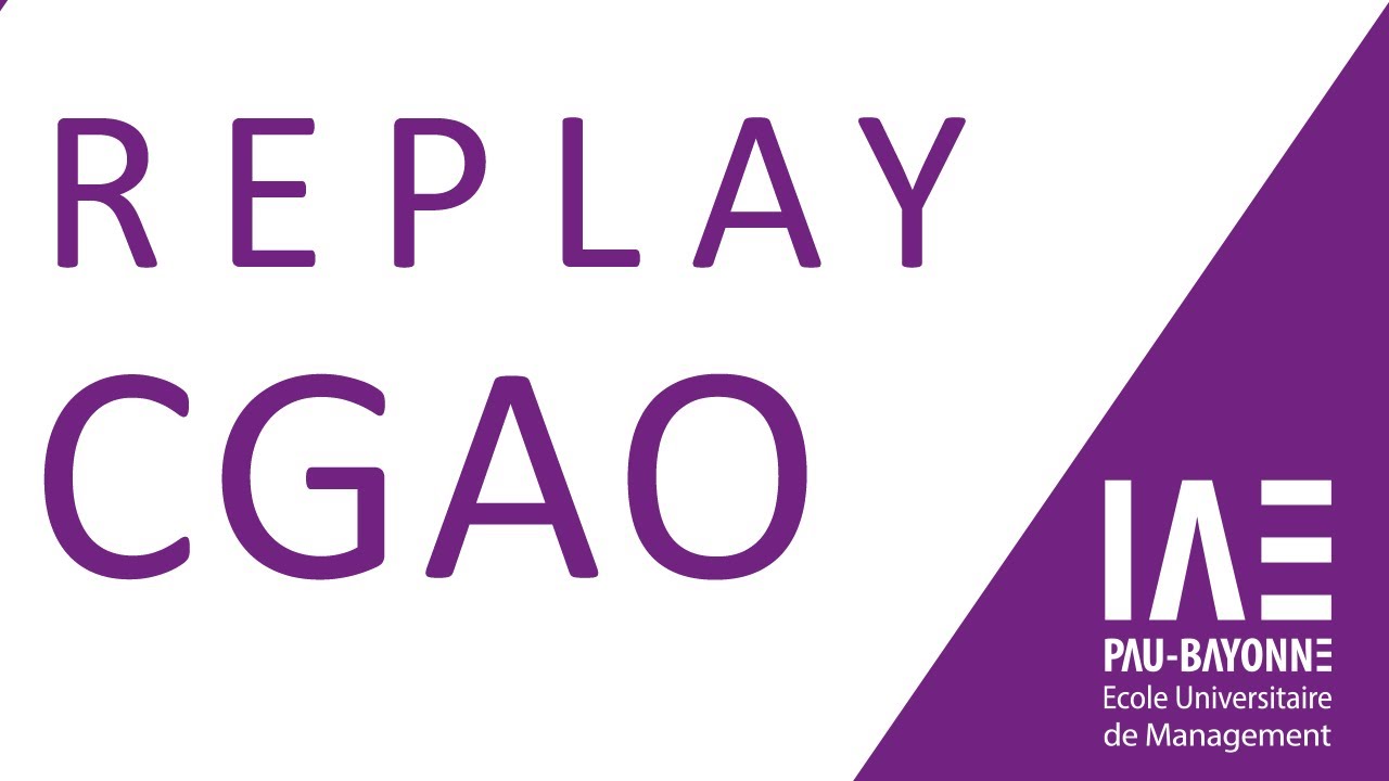 Replay - Présentation CGAO - YouTube