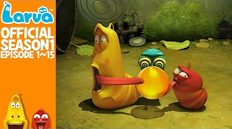 20 MIN - Larva Season 1 - YouTube