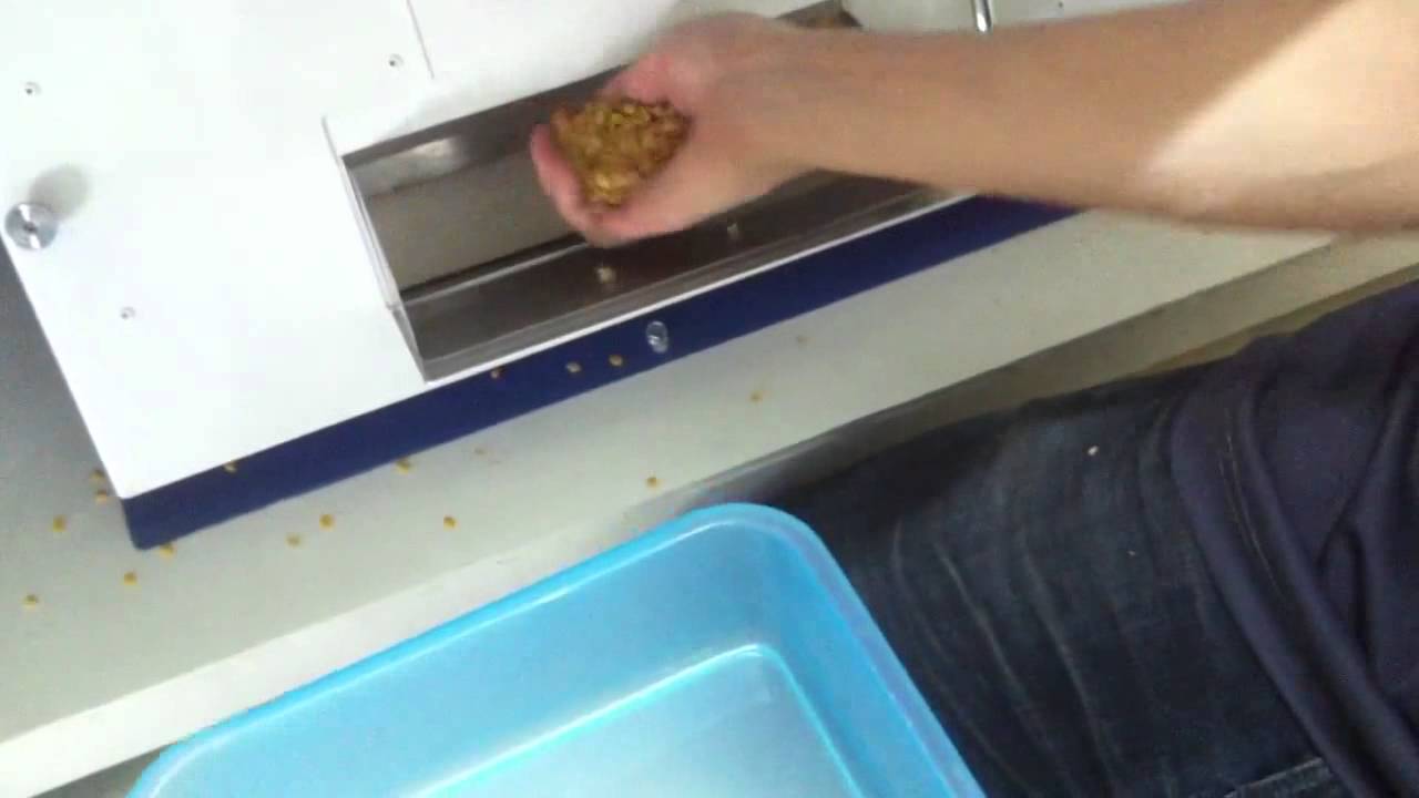 Satake RNEZS4000 Sorting Lentils - YouTube