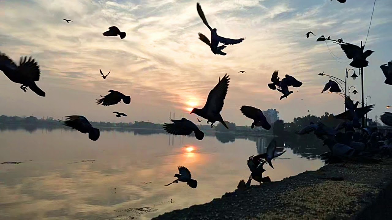 KISHORE SAGAR TALAB( KOTA RAJASTHAN) - YouTube