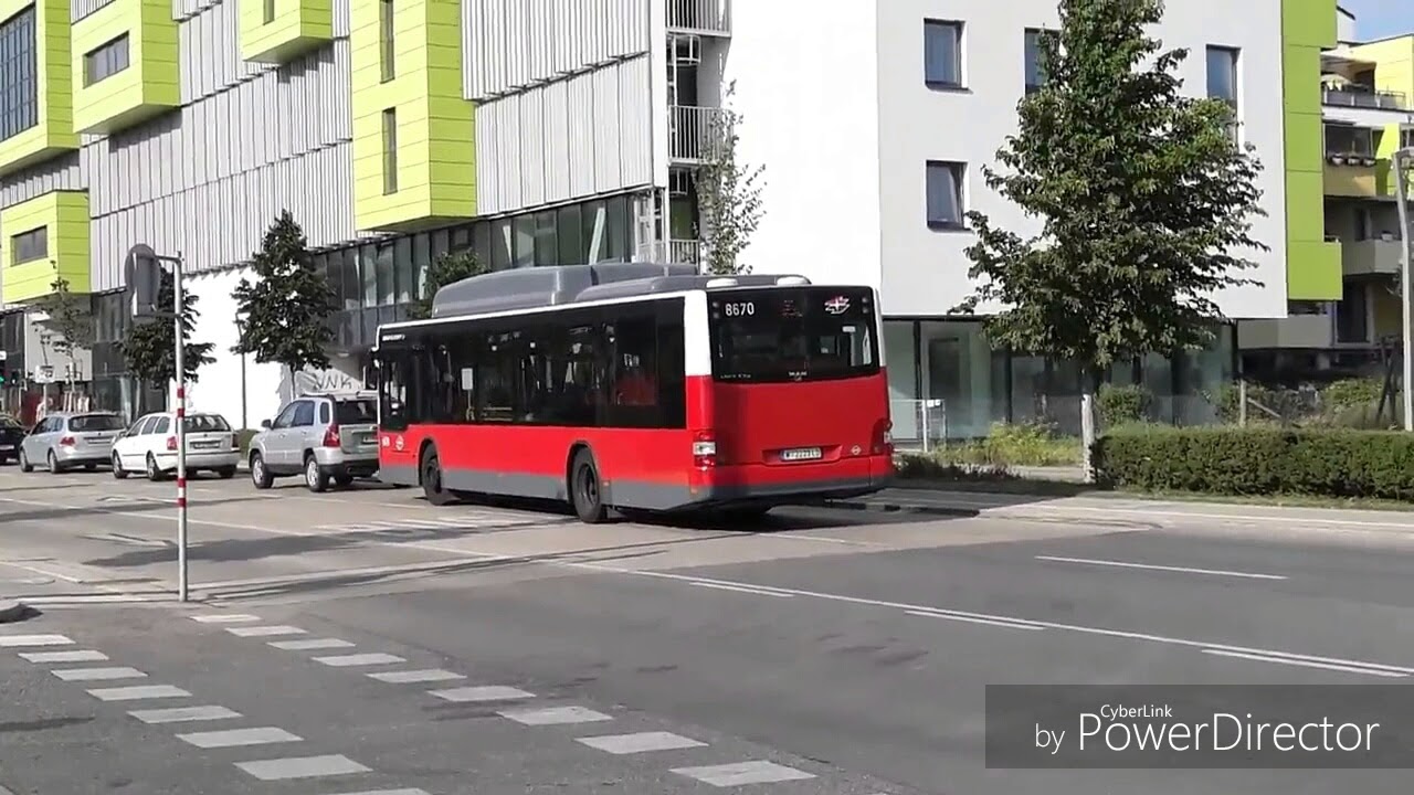 Tribute to Wiener Linien MAN NL 273 T3, Dr. Richard und ÖBB Postbus MAN ...