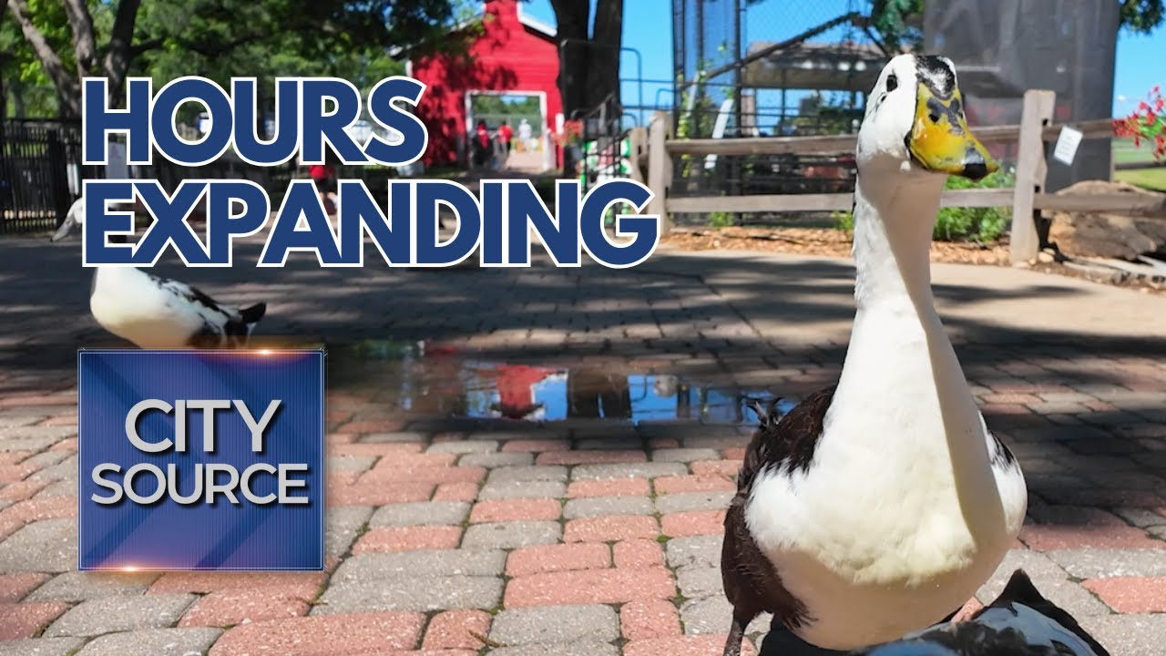 🦜 Animal Connection Experience at Fritz Park Expanding Hours - YouTube