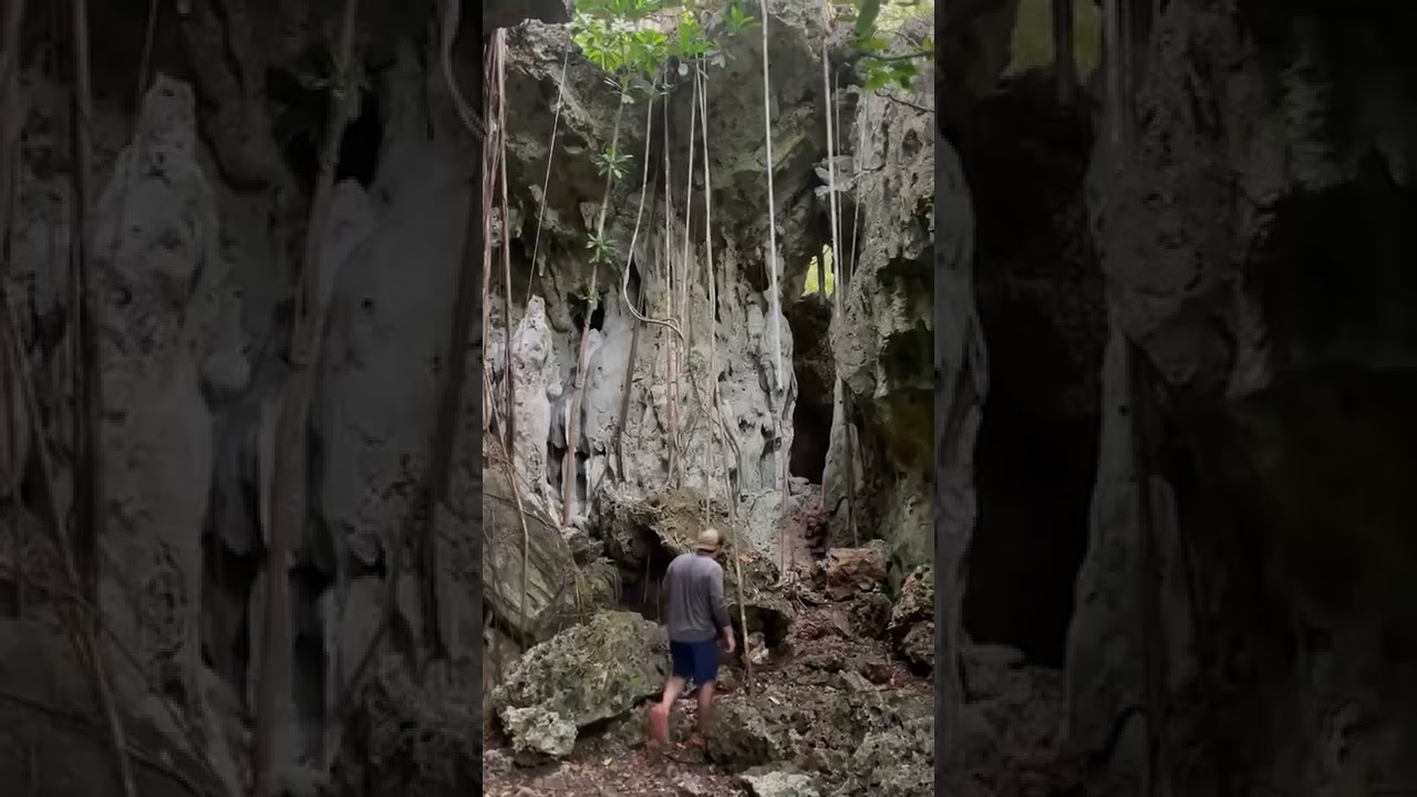 Guam limestone forest hiking - YouTube