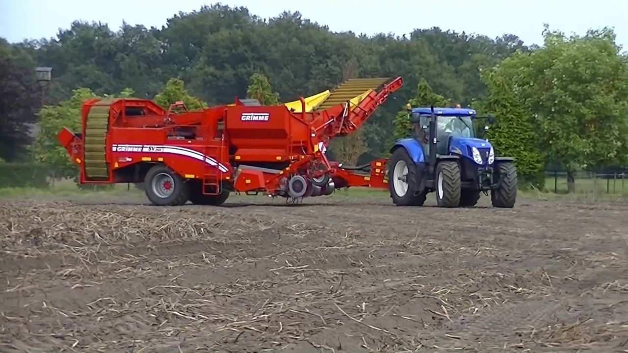 aardappels rooien met grimme SV260 / kartoffelernte / harvesting ...
