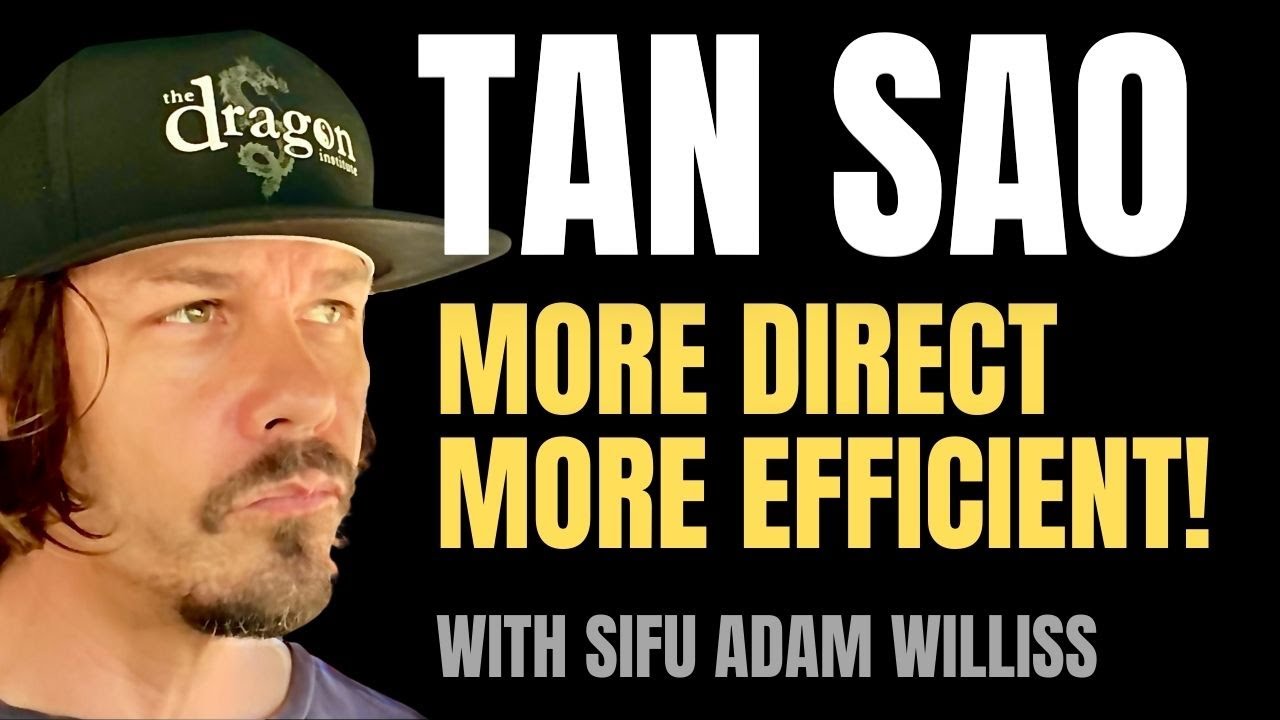 How to Do a Good Tan Sao (Direct & Efficient) - Wing Chun Lessons - YouTube