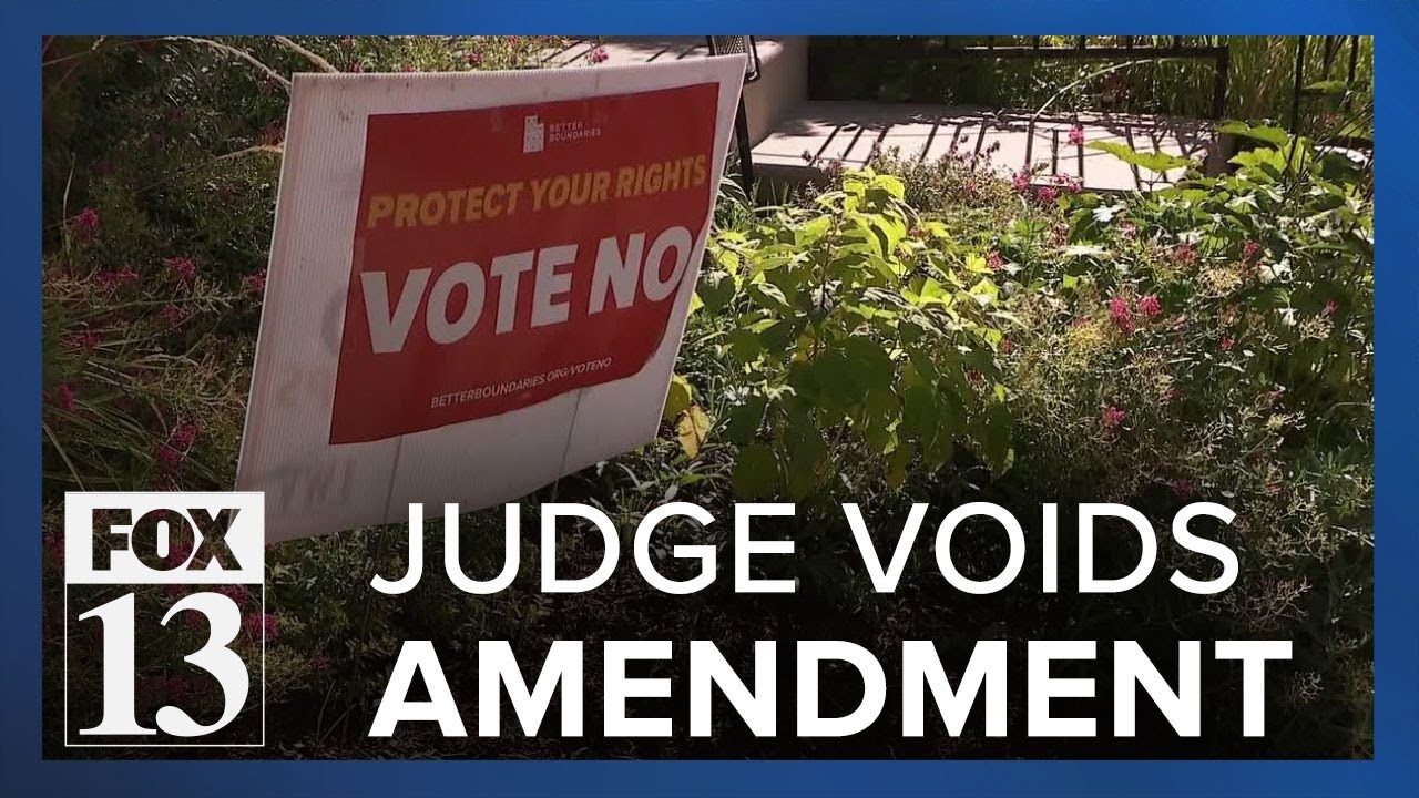 Controversial amendment voided, but will remain on ballot - YouTube