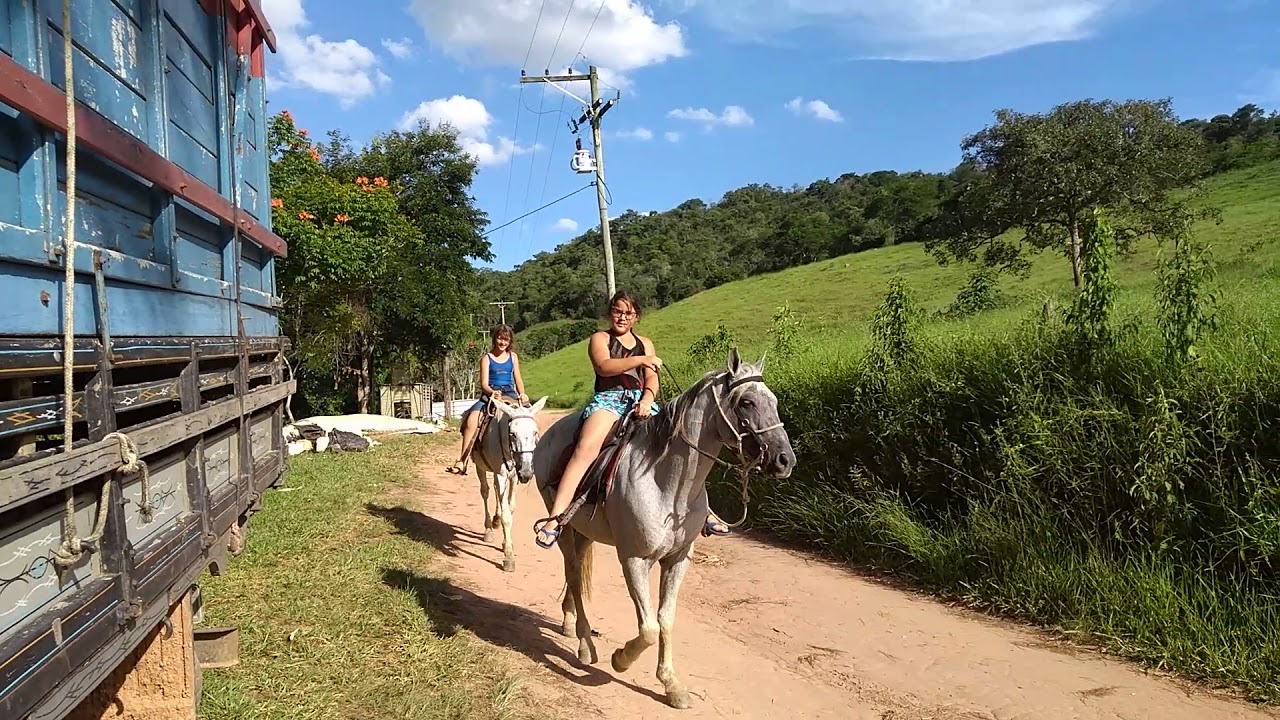 Férias 2019 Marcelo Nalin 7 - YouTube