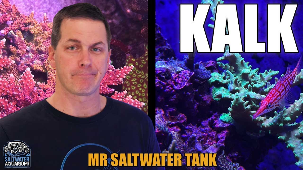 KALKWASSER - What It Is And How To Use It - Mark Callahan - Mr. Saltwater Tank - YouTube