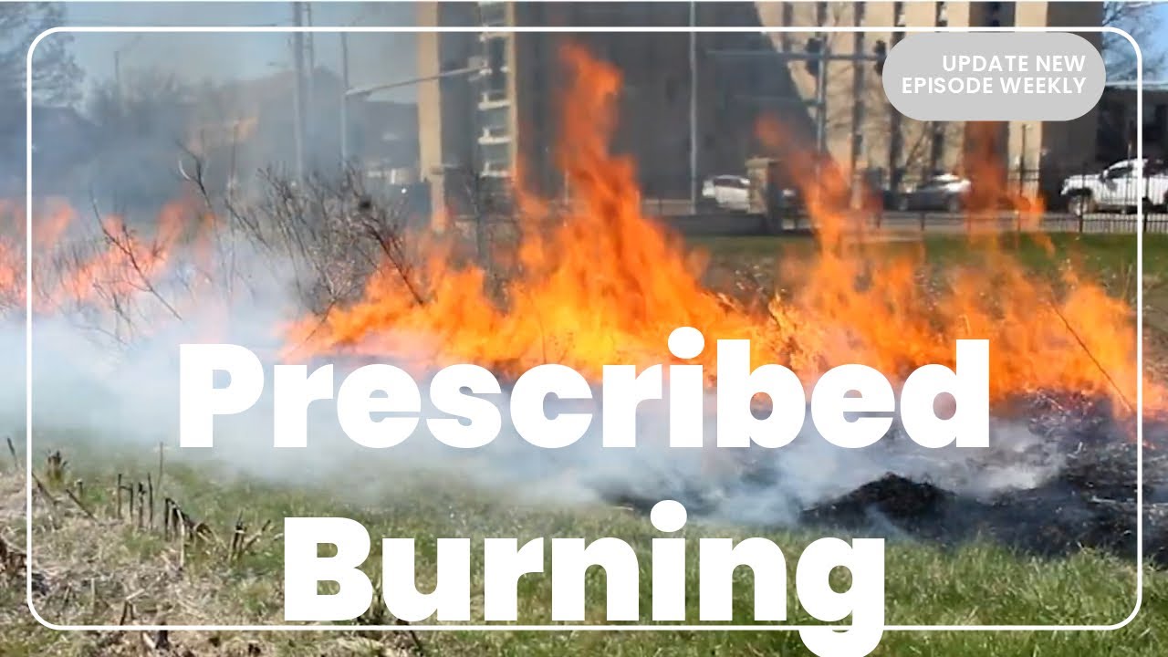 Prescribed Burning Conservation Practice - YouTube