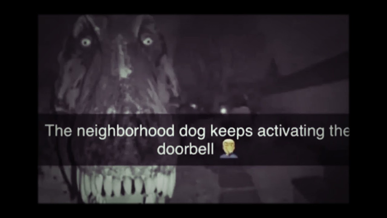 The Neighborhood Dog Keeps Activating The Doorbell YouTube the-neighborhood-dog-keeps-activating-the-doorbell-youtube