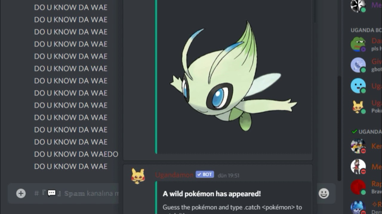 [Pokecord] [Discord] Making a pokemon 100 level and mega in 1 hour ...