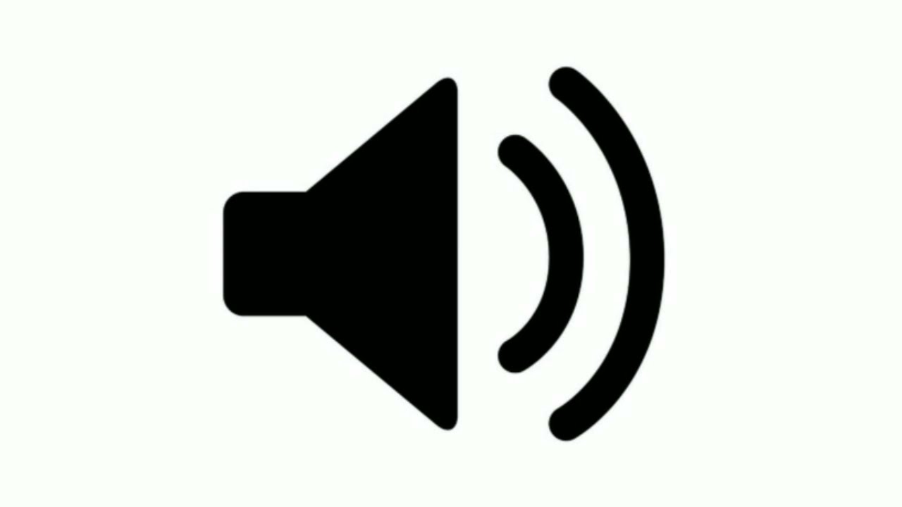 Sus - Sound Effect (HD) - YouTube