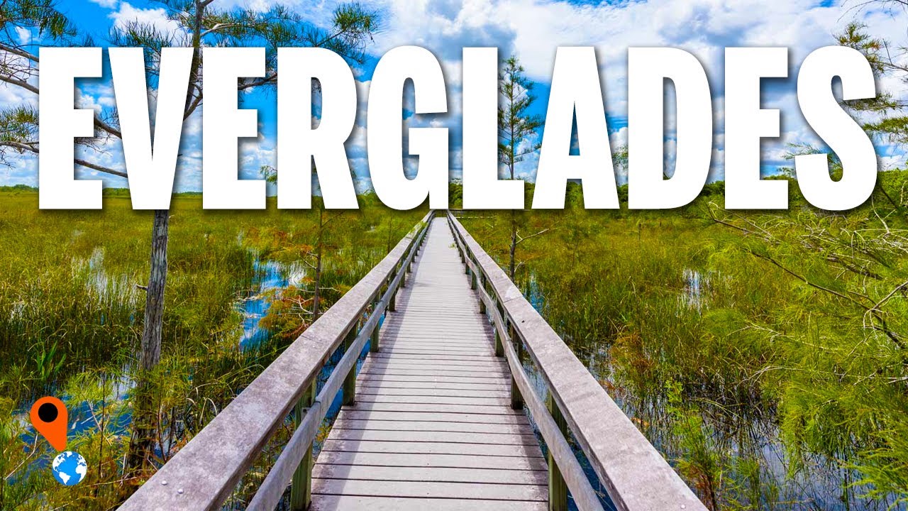 EVERGLADES National Park | Your QUICK GUIDE! | Travel Video - YouTube
