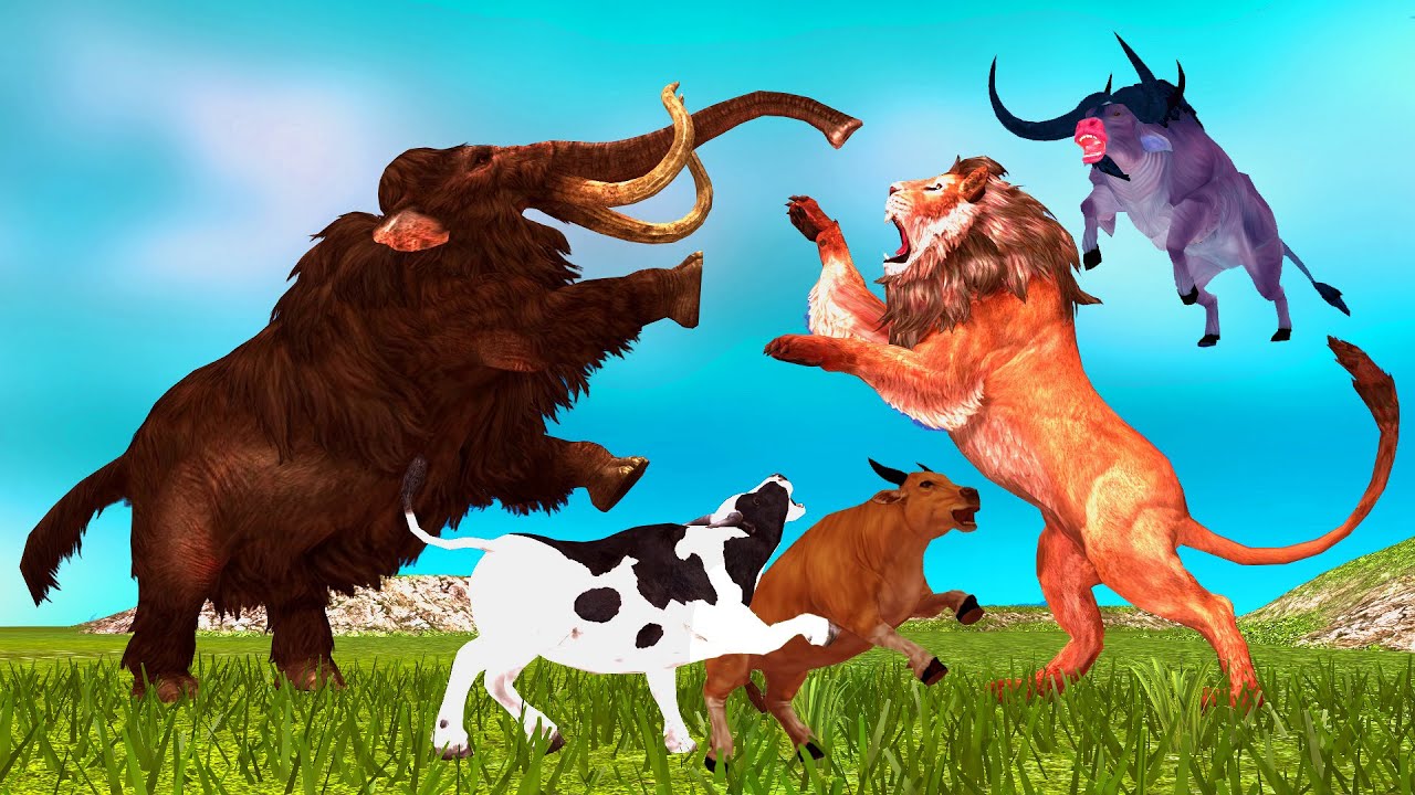 Giant Lion Attacks Cow Cartoon Saved By Woolly Mammoth Animal Fight ...