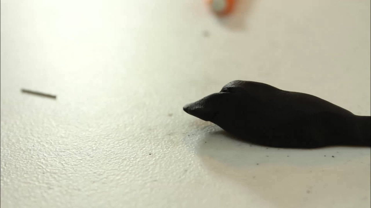 Short Clay animation. - YouTube