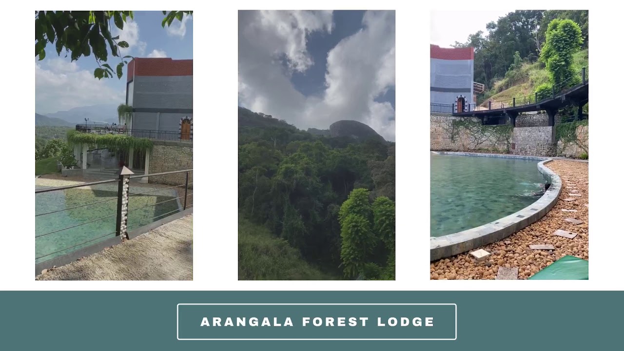 Arangala forest lodge - YouTube