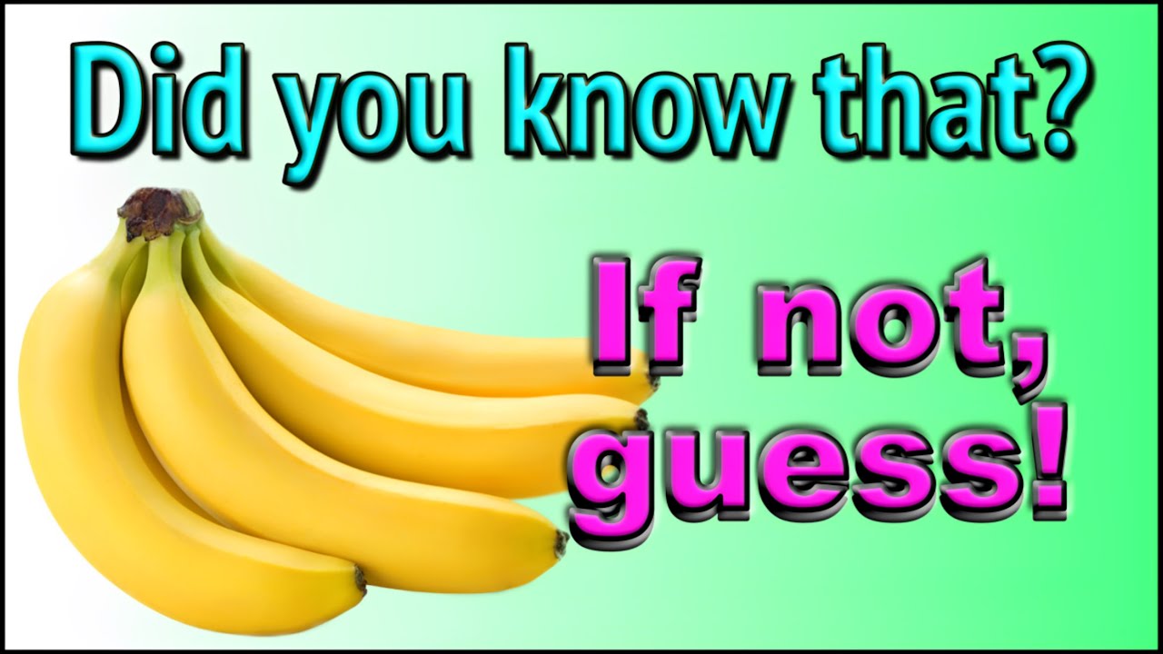 Bananas! Guessing Game: Expand your general knowledge with our exciting ...
