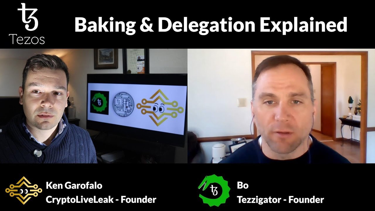 Tezos Baking and Delegation Explained | Tezzigator Interview - YouTube