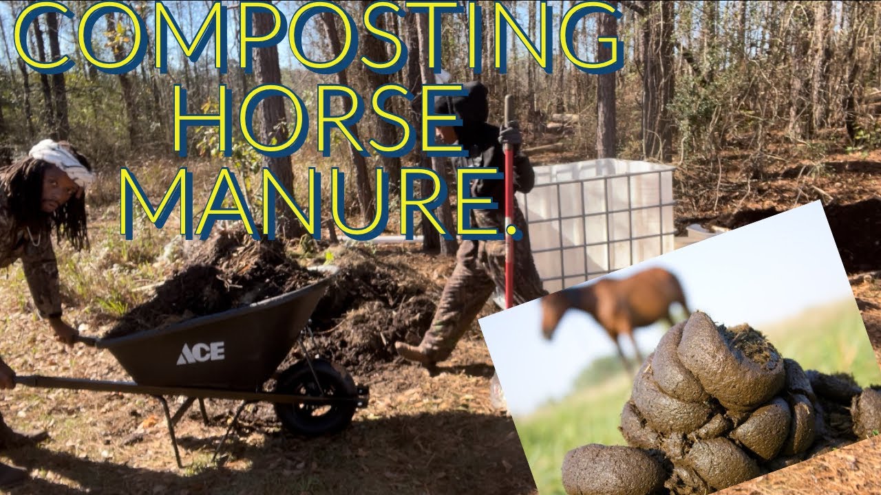 Gathering horse manure for compost | Day in the life of homesteaders ...