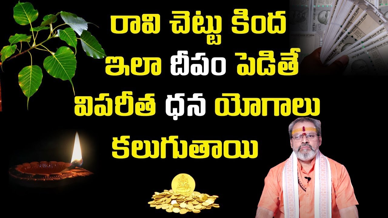 రావి చెట్టు మహిమ వింటే చాలు ఇక మీ ఇంట్లో ధనయోగమే ..! || Importance Of ...