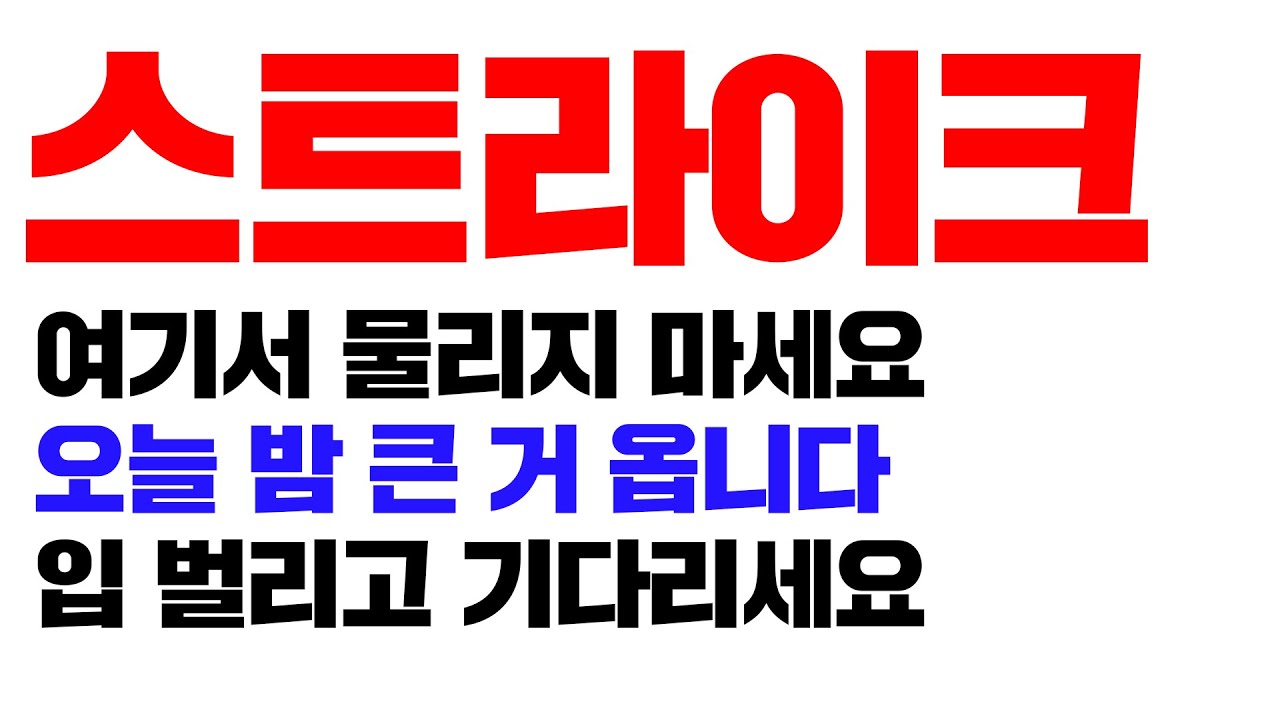 스트라이크 여기서 물리지 마세요 오늘 밤 큰 거 옵니다 입 벌리고 기다리세요 스트라이크 스트라이크코인 스트라티스