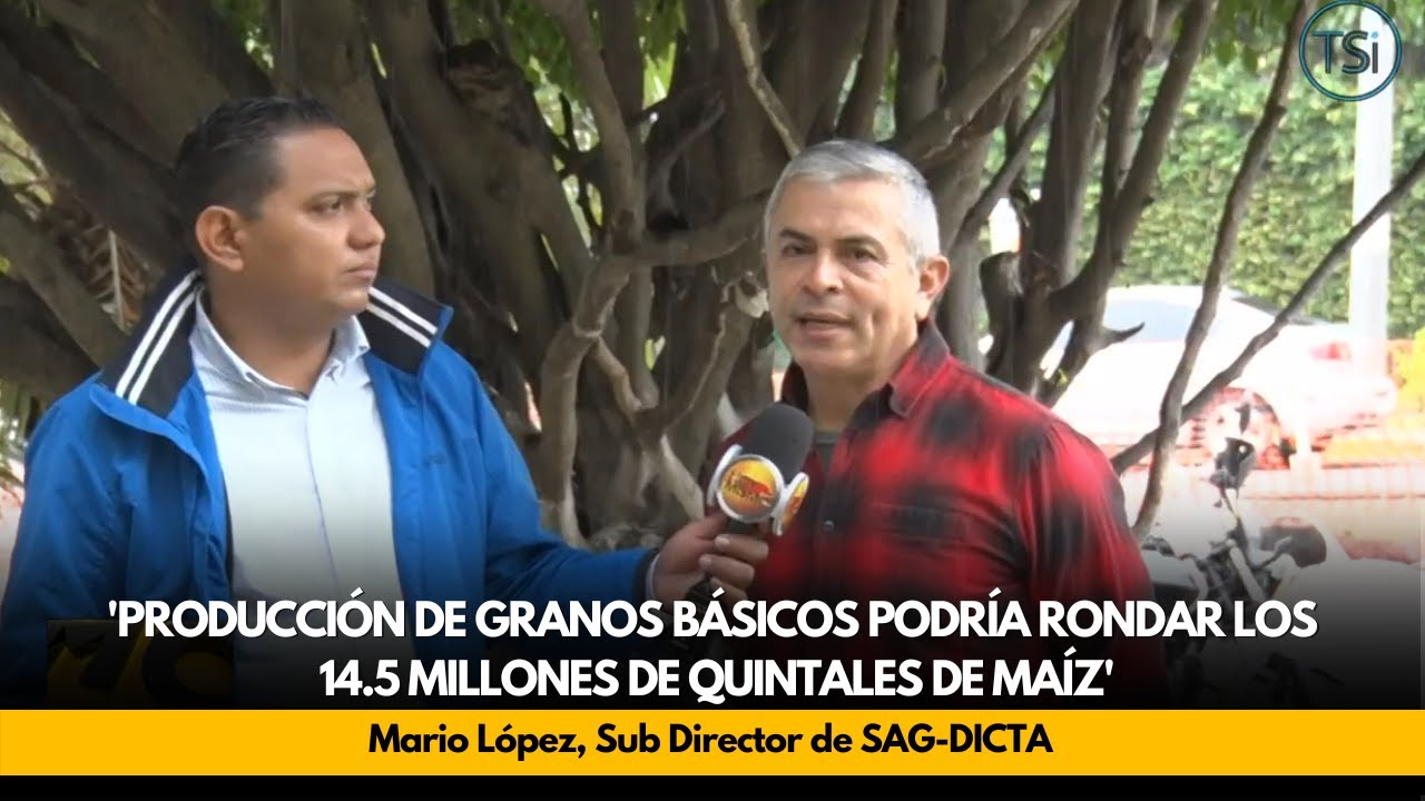 'Producción de granos básicos podría rondar lo 14.5 millones de ...