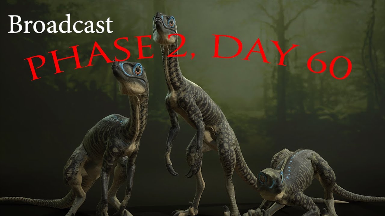 Phase 2, Day 60 - YouTube