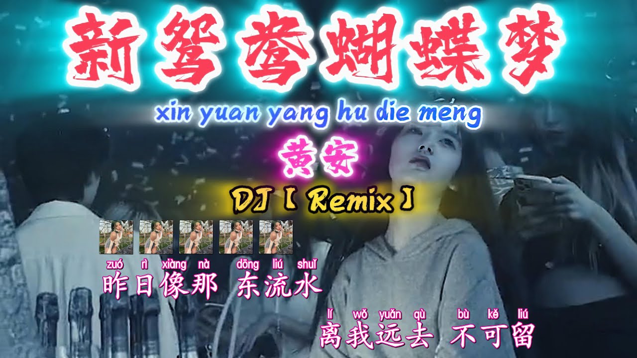 DJ【新鸳鸯蝴蝶梦】黄安【xin yuan yang hu die meng】Huang An【KTV 歌词版】@NiceMusicBox ...