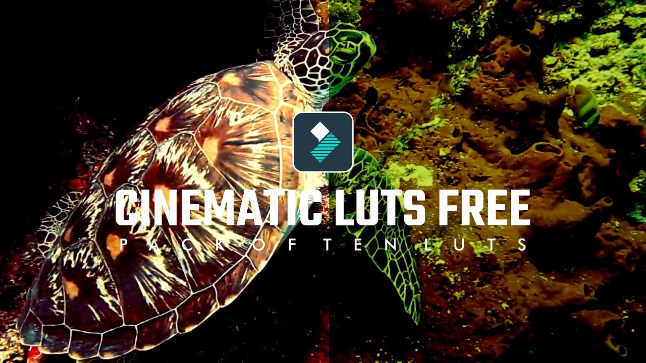 10 FREE Cinematic Lut Pack | Color Grading | Filmora X Luts | Free Luts ...