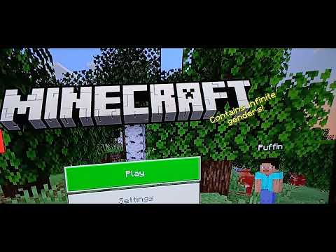 Minecraft is Woke - Contains Infinite Genders #pronouns 4-7-25 10:27 pm ...