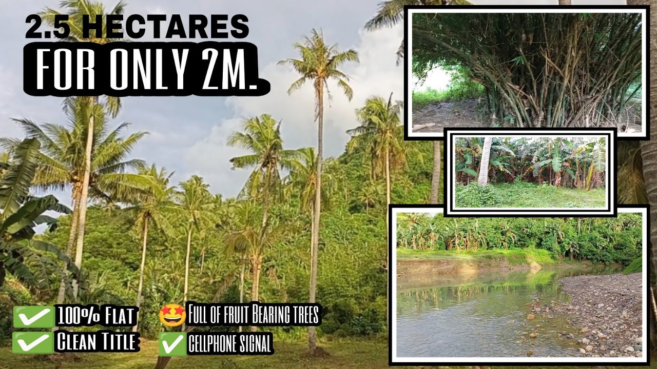 #02 | available | Clean Title | 2.5 Hectares | 100 Flat | Lot Title ...