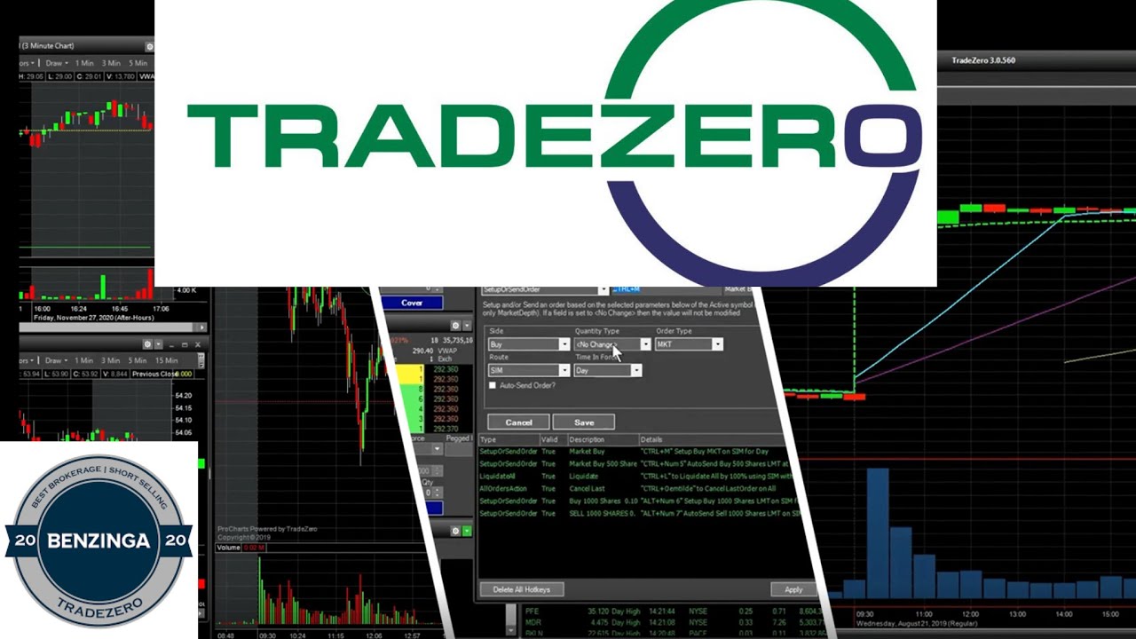 Complete Review of TradeZero Pro - YouTube