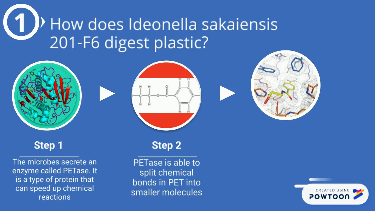 How to solve Plastic Pollution - YouTube