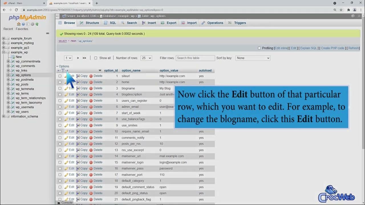 How to edit a database table via phpMyAdmin in cPanel - CrocWeb Cloud - YouTube