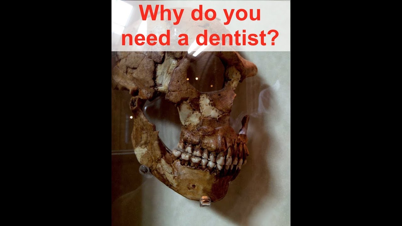 Do You Really Need A Dentist YouTube do-you-really-need-a-dentist-youtube