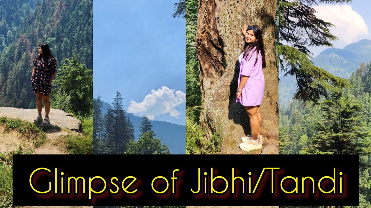 Offbeat Place Jibhi and Tandi Village | Best Tree House and Cottages ...
