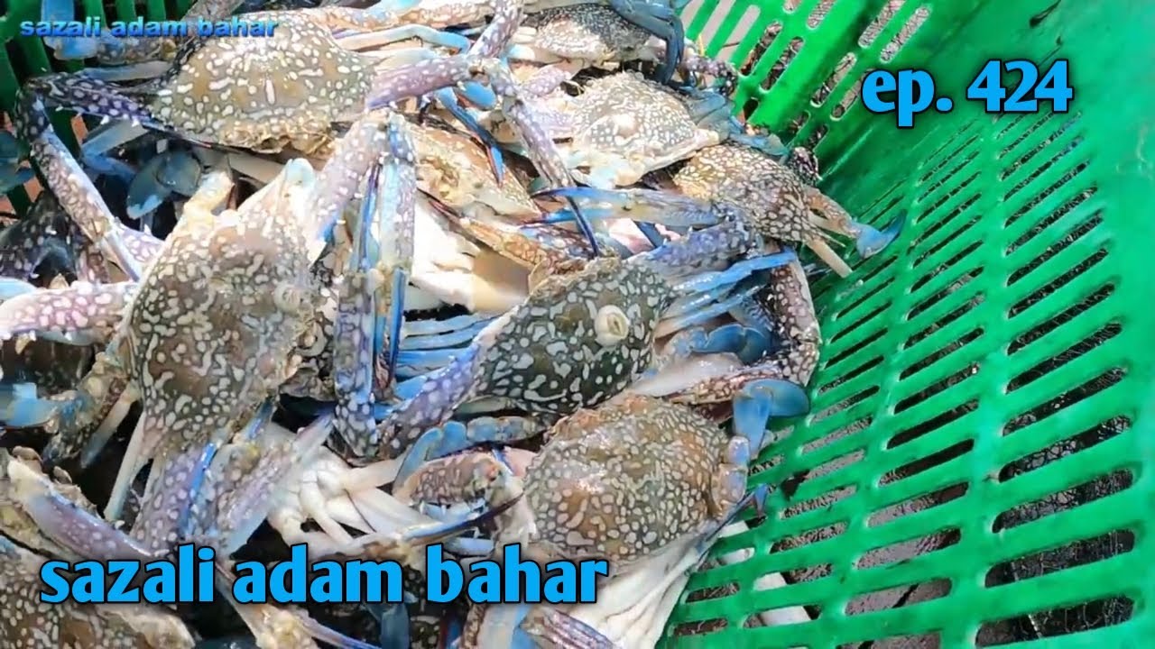 Karau jaring ketam ep.424 - YouTube