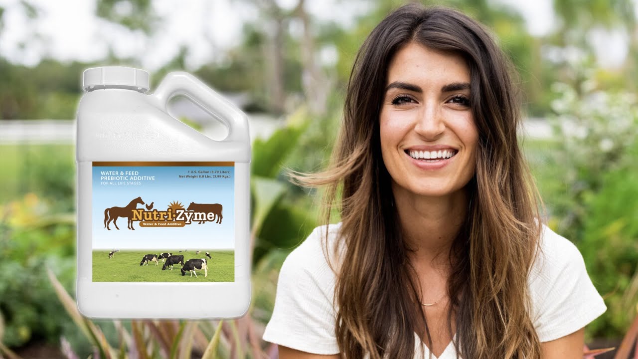 Nina Shirley Raises Cows and Chickens Using NutriZyme by AgriGro - YouTube