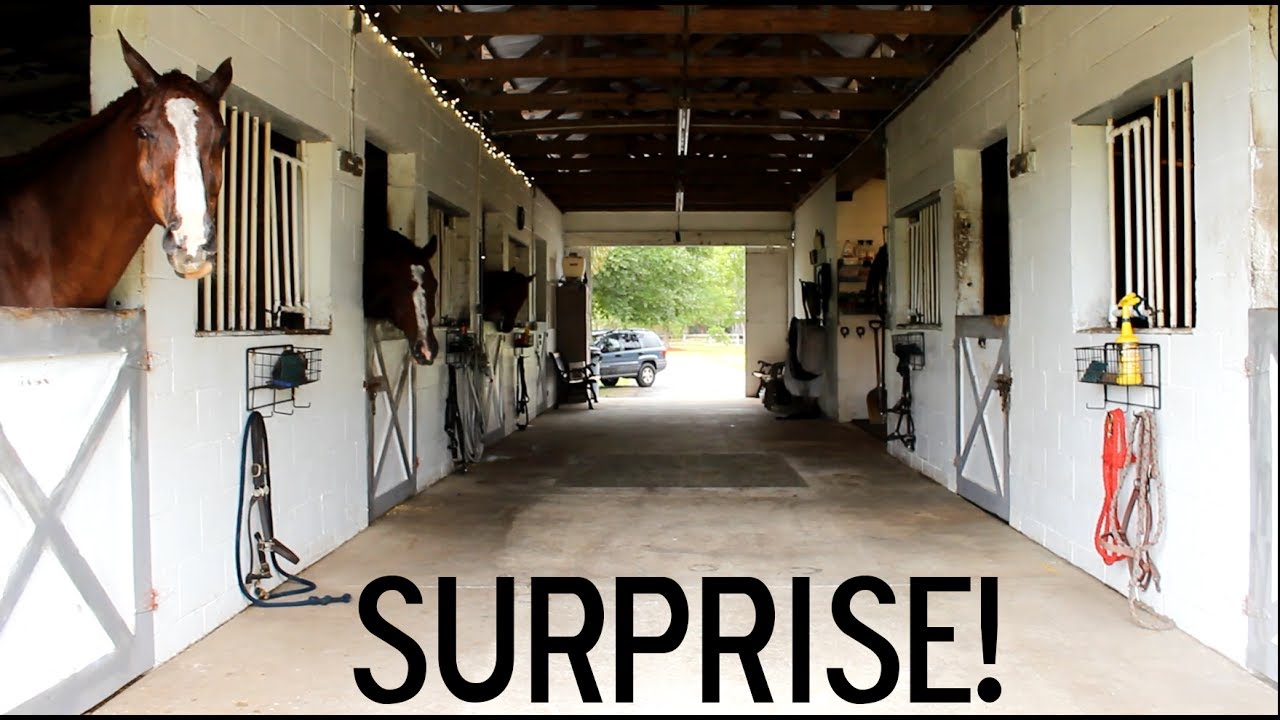 CLEANING OUT THE ENTIRE BARN WITH MY BOYFRIEND! - YouTube