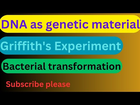 Griffith's Experiment, DNA as genetic material.bacterial transformation ...