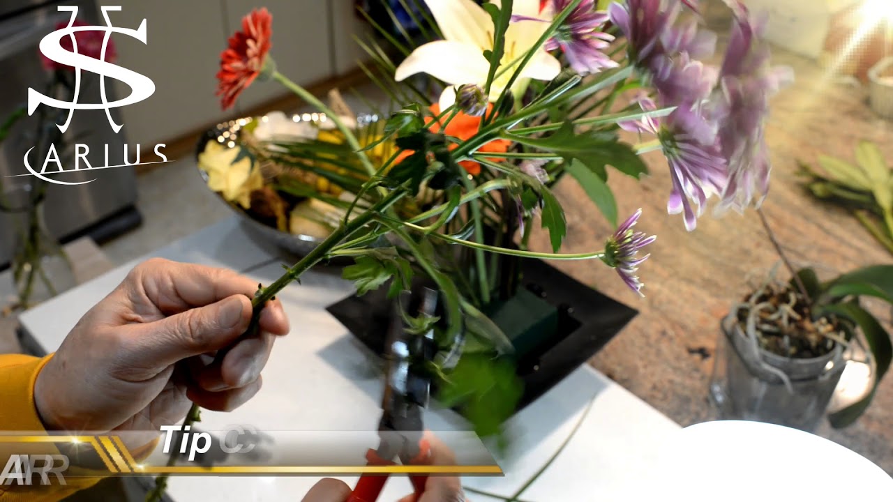 Arius 7 in 1 Floral Tool - YouTube