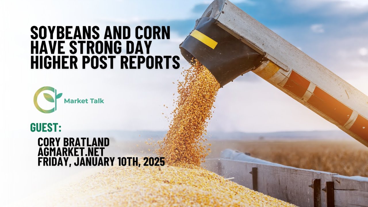 Soybeans and Corn Have Strong Day Higher Post Reports - YouTube