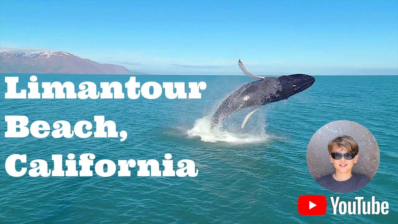 California: Limantour Beach, Point Reyes National Seashore - YouTube