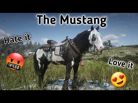 The Mustang!Love it or Hate it?|RDR2 Online - YouTube