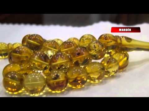 FOSİLLİ TESBİH VTR