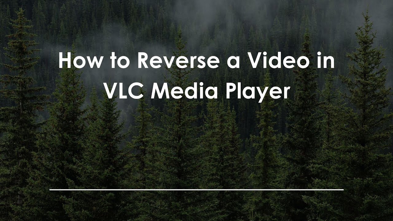 How to Reverse a Video in VLC Media Player - YouTube