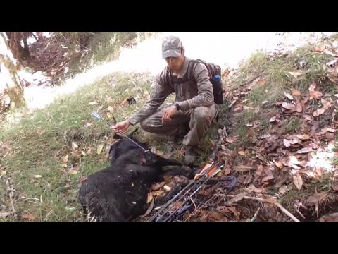 BOW KILL SHOTS COMPILATION - YouTube