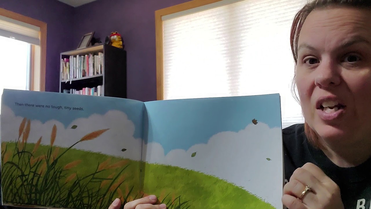 Five Tough and Tiny Seeds - YouTube