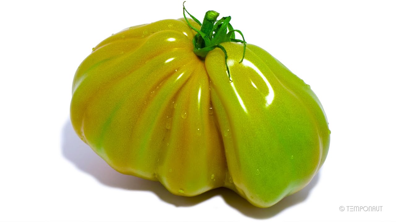Oxheart Tomato Timelapse - YouTube